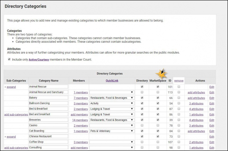 MarketSpace Initial Setup (link) - ChamberMaster