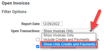 Unapplied credits and payments report - ChamberMaster