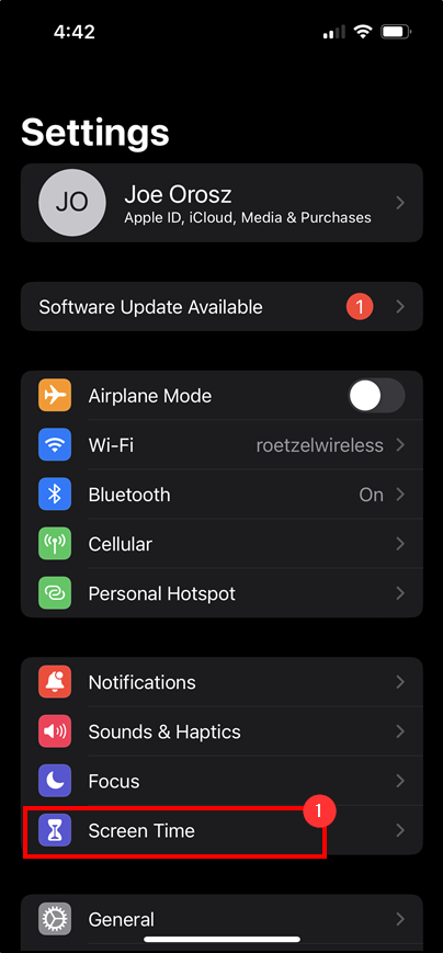 iPhone & iPad - Face ID and Passcode Settings Not Appearing - Roetzel ...